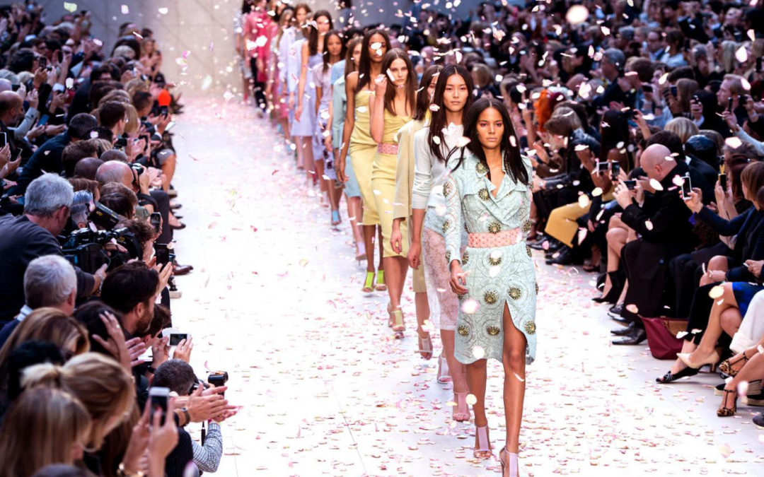 Introducing our First Graduating Class – fashionsfl